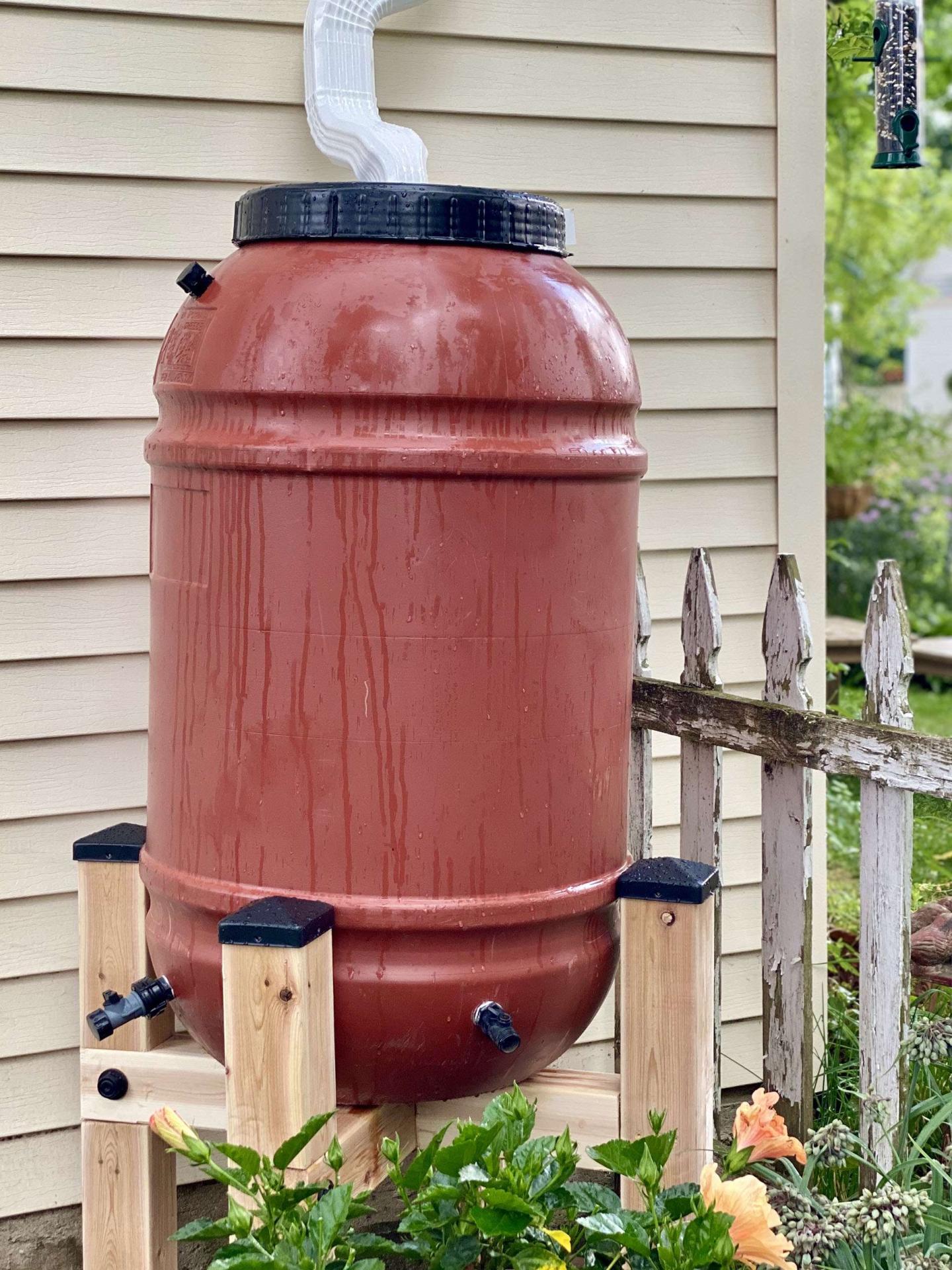 Boost Your Yard's Drainage with a Catch Basin - Drain Express